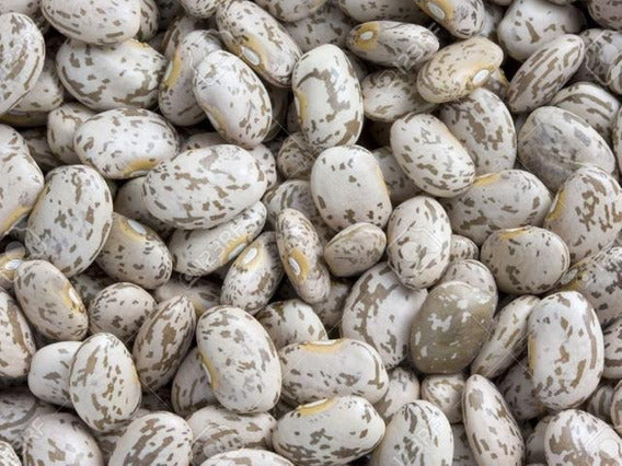 FRIJOL PINTO KILO – Comercializadora Mado